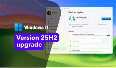 Step By Step Guide Upgrading To Windows 11 25h2