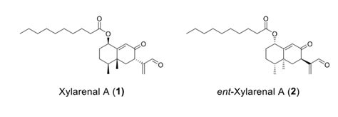 Solved Provide A Concise Retrosynthesis Max 5 ﻿steps Each