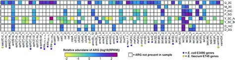 Relative Abundance Of Antimicrobial Resistance Genes Args In 3chi C