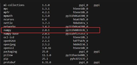 代码小记解决RuntimeError Numpy is not available报错 CSDN博客