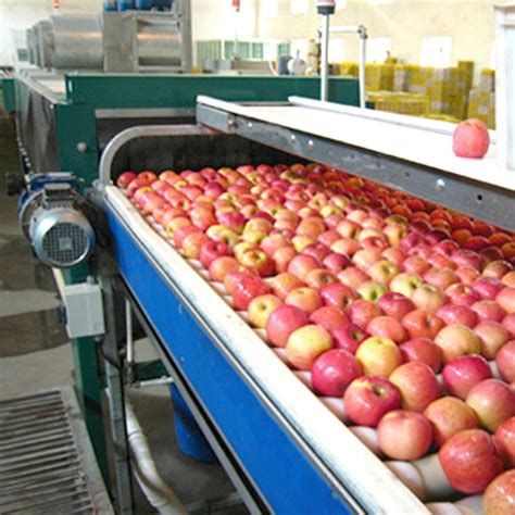 Lifting Apple Grading Fruit Processing Equipment For Classifying