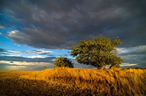 Обои Природа Пейзажи обои для рабочего стола фотографии природа пейзажи простор Обои для