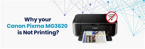 Canon Pixma Mg3620 Troubleshooting For Wireless Connectivity Problem