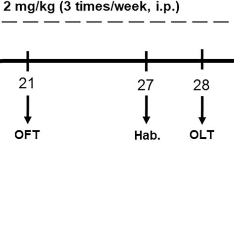 Experimental Design Oft Open Field Test Hab Habituation Olt Download Scientific Diagram