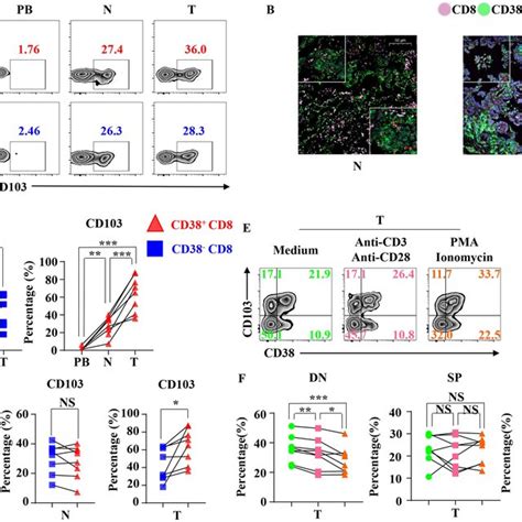 Cd103 Expression Of Tumor Infiltrating Cd3 Cd T Cells A Download Scientific Diagram