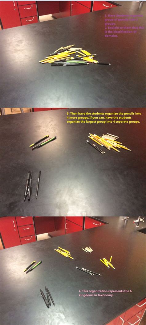 Classification Activity Taxonomy Biology Lesson Taxonomy Biology