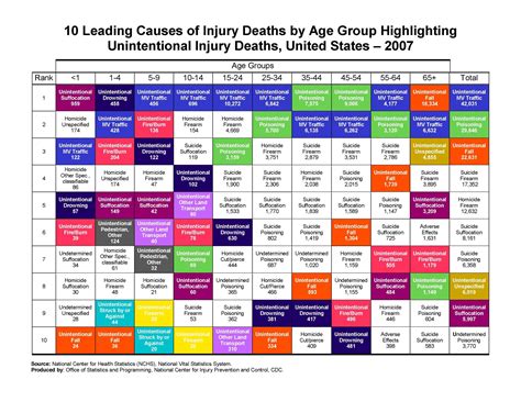 10 Leading Causes Of Death By Age Group Anatomy System Human Body