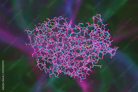 Molecular Structure Of Human Pepsin 3b One Of The Enzymes That Digest