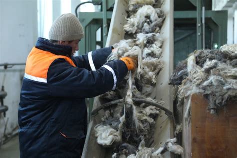 Хонины угаагаагүй хаягдал ноосоор органик бордоо үйлдвэрлэж байна Хүнсний хувьсгал