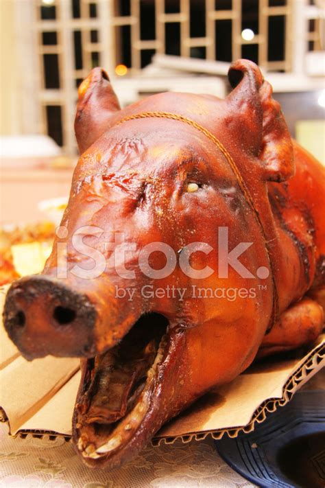 Lechon 스톡 사진 로열티 프리 Freeimages