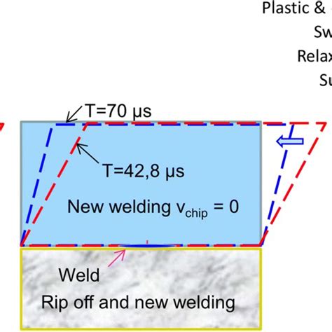 The Adhesive Cycle Step By Step Download Scientific Diagram