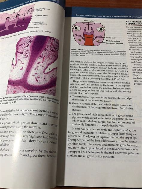 Textbook Of Dentalandoral Histology With Embryology Hobbies And Toys