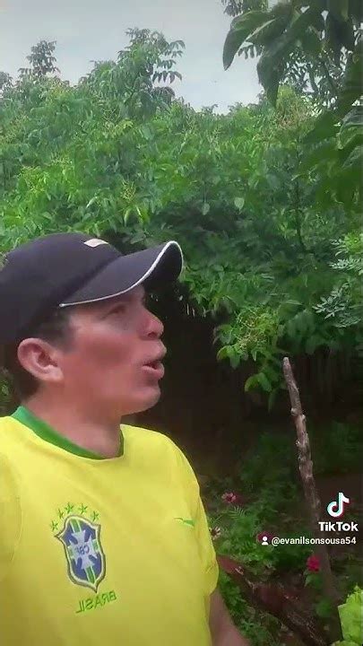 Chega Peludo Youtube