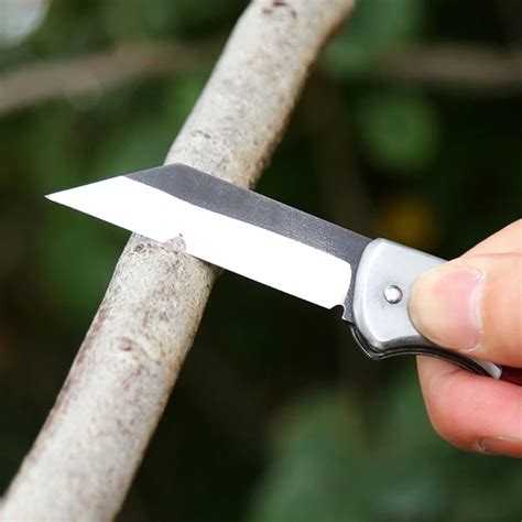 Pruning Grafting Professional Folding Seedling Orchards Pruning Tool