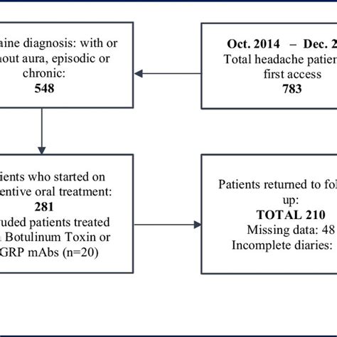 Flowchart Depicting Migraine Patient Selection Cgrp Mabs Calcitonin