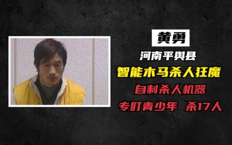下集｜河南平舆智能木马杀人魔 黄勇 老马拍案 老马拍案 哔哩哔哩视频