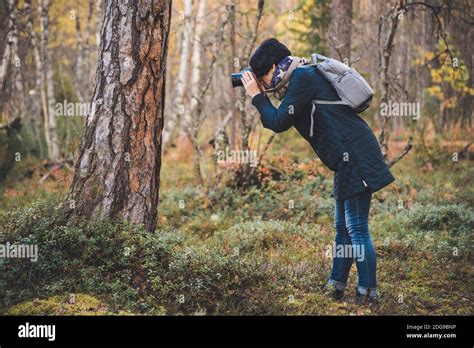 Girl With The Camera Photographs Pine Tree Bark In The Wood Stock Photo Alamy