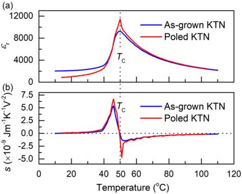 Macroscopic Dielectric Responses A Relative Dielectric Permittivity Download Scientific