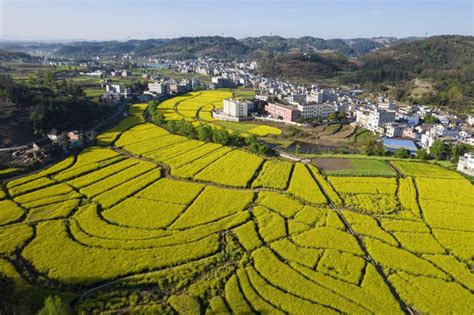 黔西县乡镇 金坡 第4页 大山谷图库