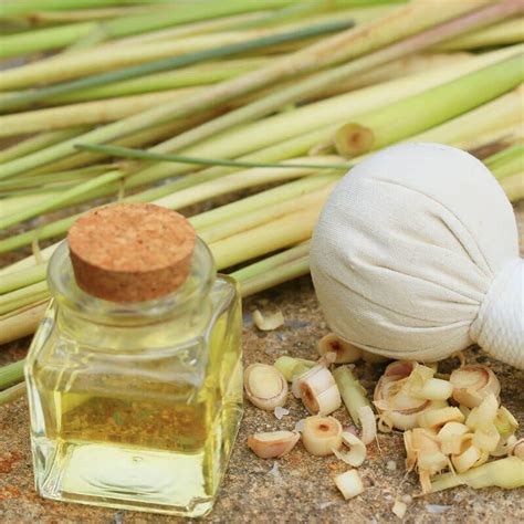 8 Lemongrass Essential Oil Uses That Can Heal Lemongrass Essential Oil Uses Essential Oil