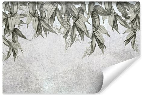 Fototapeta Do Salonu Egzotyczne Liście Beton Natura 315cm X 210cm