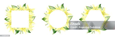 노란색 바닐라 꽃의 프레임 세트입니다 열대 이국적인 꽃과 화환입니다 수채화 삽화 격리 요리용 향료 인사말 카드 엽서 스크랩북 포장 디자인 0명에 대한 스톡 벡터 아트 및