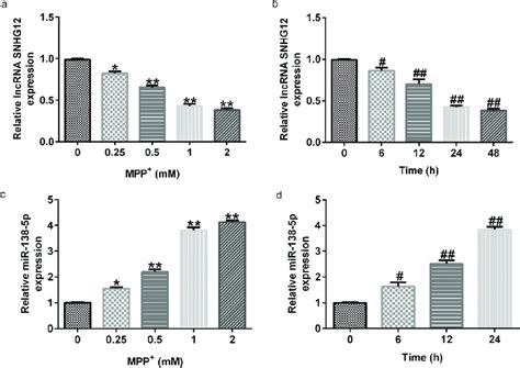 Levels Of Lncrna Snhg12 And Mir 138 5p In Pd Cell Model Qrt Pcr
