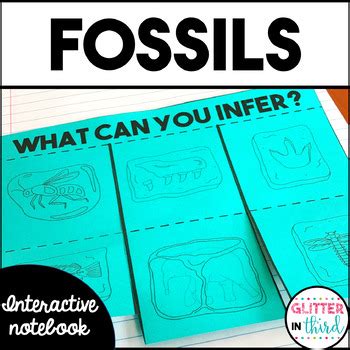 Fossils Activities Interactive Notebook By Glitter In Third TpT