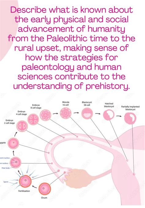 Paleolithic Humanity Physicaladvancement Socialadvancement Ruralupset Prehistory