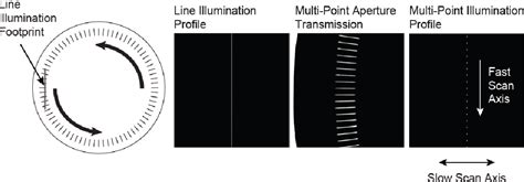 Figure 4 From Design And Performance Of A Multi Point Scan Confocal