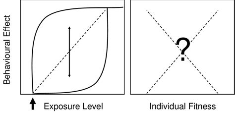 Schematic Representation About The Potential Impact Of Anthropogenic Download Scientific