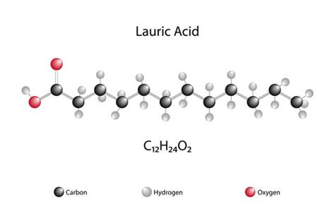Lauric Acid Structure