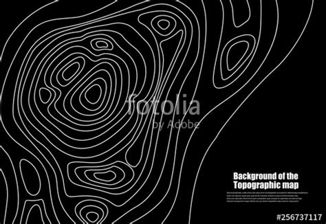 Topo Vector At Collection Of Topo Vector Free For Personal Use