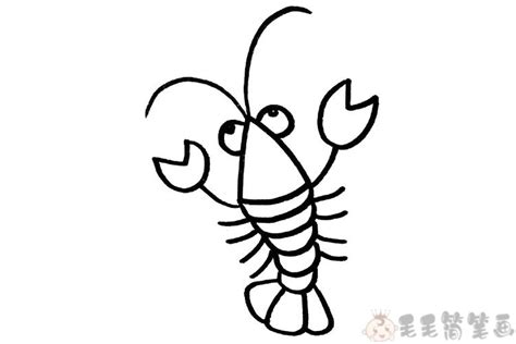 礁石龙虾简笔画 龙虾简笔画简易 大山谷图库