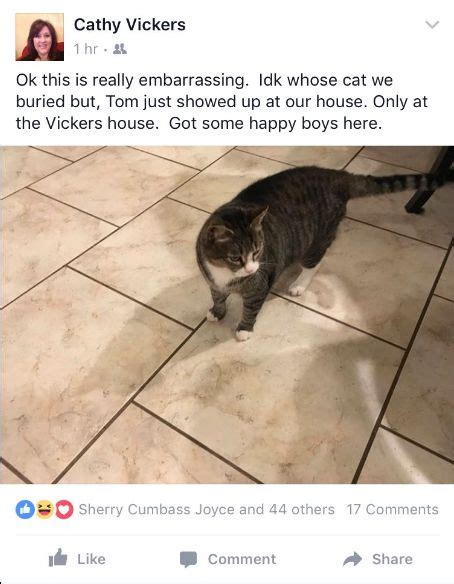 Cathy Vickers Mistakenly Buried The Wrong Cat When She Thought Otherwise
