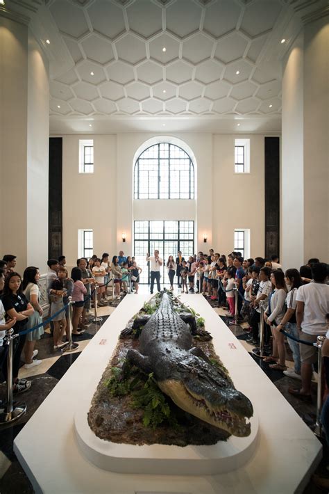 Lolong Natural History Museum Lolong Gxxke