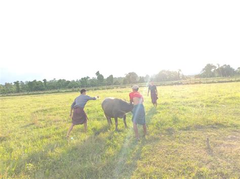 ဟုမ္မလင်းမြို့၌ တိရစ္ဆာန် ရောဂါကာကွယ်ထိန်းချုပ်ခြင်းဆိုင်ရာ ရက်သတ္တပတ်လှုပ်ရှားမှု ကွင်းဆင်းဆောင