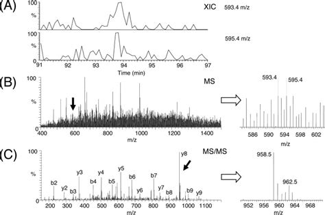 Quantification Using Three Different Strategies Xic Ms And Ms Ms Of Download Scientific
