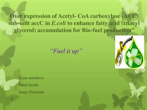 Ppt Fuel It Up” Team Members Parul Sirohi Sanju Timilsina