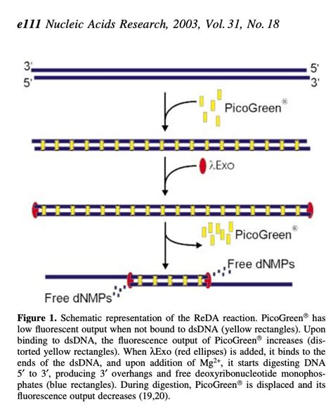 Fluorometry Deep Dive By Anandamide