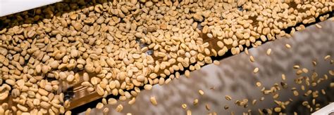 Transforming The Food Processing Industry With Advanced Automation