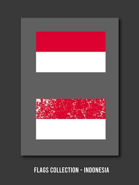 Premium Vector Flags Collection