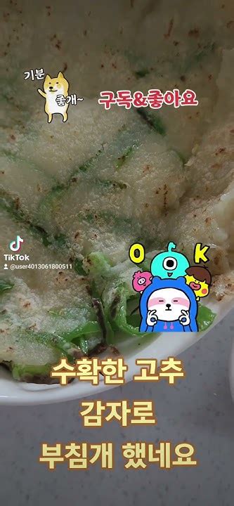 옥전농부 수확한 고추 감자로 부침개 했네요 정동원왔다야 Youtube