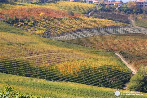 Le Langhe Roero y Monferrato Guía Blog Italia