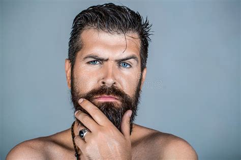 Look Of Male Hipster Man With Beard Mustache Handsome Brutal Male