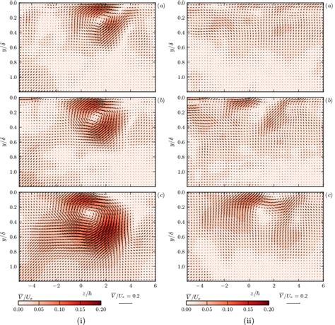 Conditional Mean Velocity Vector Fields And Color Maps Of The Mean