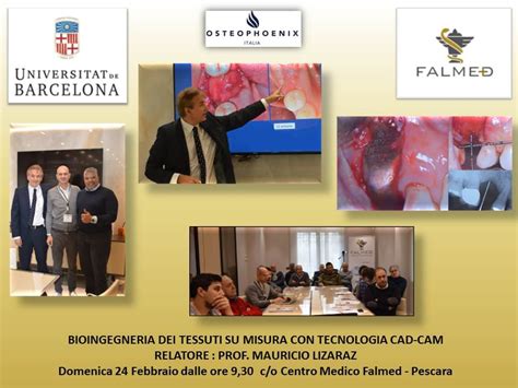 Bioingegneria Dei Tessuti Su Misura Falmed Centro Medico