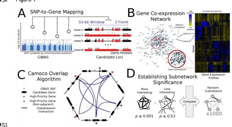 Figure 1 From Integrating Co Expression Networks With Gwas Detects