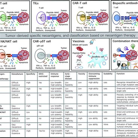 Combined Antitumor Strategies Based On Neoantigens The Diagnosis And