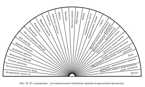 Приложение 2 Радиэстезические диаграммы Многомерная и народная медицина